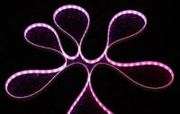 China 25000H DIY LED Neon Light Body Smart Neon Flex Rope Light for sale