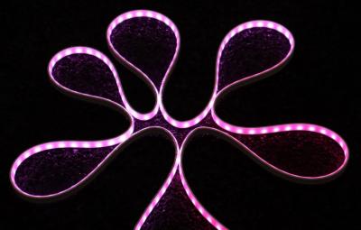 China 25000H DIY LED Neon Light Body Smart Neon Flex Rope Light for sale