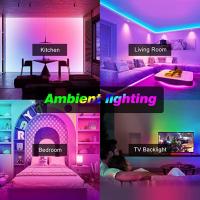 China WiFi Flexible LED Strip Light Remote Control Intelligent Light Band IP67 for sale