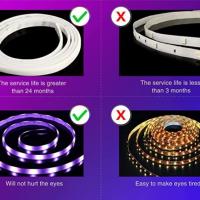 China Multicolor Gradient RGB LED Strip Light 3528 24V IP20 WiFi Bluetooth Smart Ambient Lighting for sale