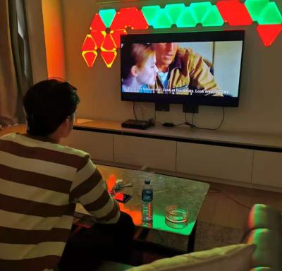 China Triangle LED Light Panel RGB Multicolor 24W 80m Smart WiFi Music Control Wall Lamp for sale