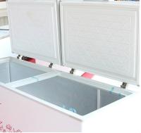 China Commercial Freezer Large Capacity Top Lid Butchery Fridge Meat Freezer 1620x745x898mm 220V for sale