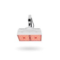 China 840 LED PDT Machine ,  Skin Treatment Photon Therapy Machine 1200W for sale