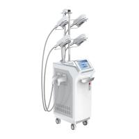 China 360°Cryolipolysis Slimming Machine , Fat Freezer Cryolipolysis System for sale