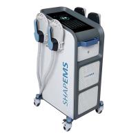 China Radio Frequency Body Sculpting Machine Professional 13 Tesla EMS Slimming Machine for sale