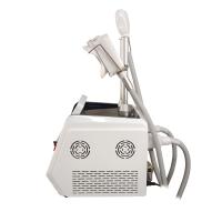 China Tabletop Fat Freezing Cryolipolysis Machine 600W For Beauty Salon / Aesthetic Studio for sale