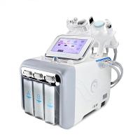 China 6 In 1 Hydrafacial Machine  , Hydro Oxygen Facial Machine OEM Support for sale