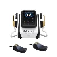 China Desktop EMS Muscle Sculpting Machine , Compact RF Body Contouring Device For Beauty Studios for sale