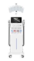 China 12 In 1 Hydrafacial Machine 800W Hydrafacial Dermabrasion Machine for sale