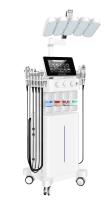 China 12 In 1 Hydrafacial Machine 800W Hydrafacial Dermabrasion Machine for sale