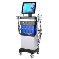 China Beauty Salons Hydrafacial Machine 12 In 1 Hydra Spa Pro Skin System for sale