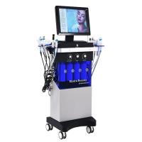 China Beauty Salons Hydrafacial Machine 12 In 1 Hydra Spa Pro Skin System for sale