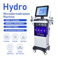 China Beauty Salons Hydrafacial Machine 12 In 1 Hydra Spa Pro Skin System for sale