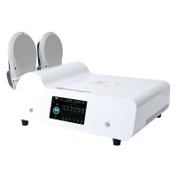China 13 Tesla 5000W Portable EMS + RF Body Sculpting Machine (Dual Handle / OEM Wholesale) for sale