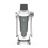 China Non-Invasive Body Sculpting & Cellulite Reduction Machine | RF & Vacuum Roller System for sale