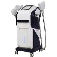 China 360° Cryolipolysis Machine | Professional Fat Freezing for sale