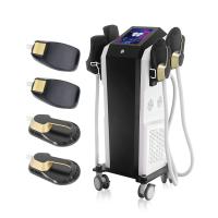 China Advanced 13 Tesla EMS + RF Sculpting System: Muscle Builder & Pelvic Floor Device for sale
