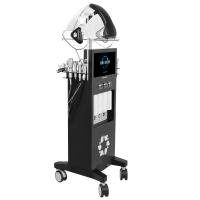 China 12in1 Hydro Oxygen Facial Machine with AI Skin Analyzer | Aqua Peel & LED Facial System for sale