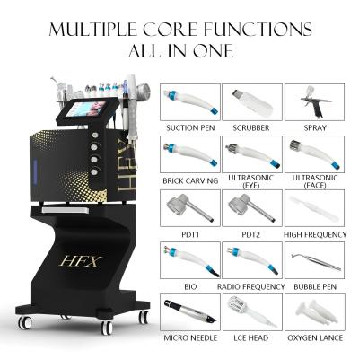 China High-ROI 14-in-1 Hydro Facial Workstation for Medical Spas for sale