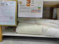 China EKS Hygroscopic Heating Cotton Polyester Quilt Wadding 300gsm for sale