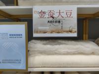 China Soybean Protein Fiber Hygroscopic Heating Quilt Cotton 99% Antibacterial Warm Polyester Fiber for sale