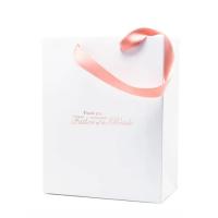 China Custom Craft Christmas Gift Favour Paper Bags White Luxury Paper Bag Thank You Bags For Boutique for sale