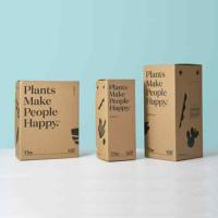 China Custom Corrugated Cardboard Plant Shipping Box Packaging Plant Boxes For Plants Packaging for sale