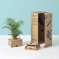 China Custom Corrugated Cardboard Plant Shipping Box Packaging Plant Boxes For Plants Packaging for sale