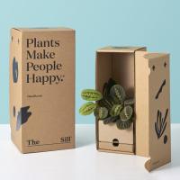 China Custom Corrugated Cardboard Plant Shipping Box Packaging Plant Boxes For Plants Packaging for sale
