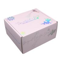 China Custom Logo E Flute Holographic Corrugated Clothing Shipping Mailer Box For Woman Underwear for sale