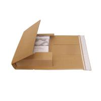 China Custom Logo Self Sealing Zipper Tear Book Mailer Shipping Packaging Box With Adhesive Tape for sale