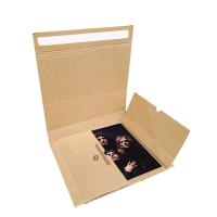 China Custom Vinyl Record Self Sealing Zipper Mailer Shipping Box for sale