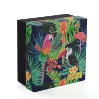 China Rigid Cardboard Paper Gift Boxes With Lids And Bottom Custom Printing Service for sale