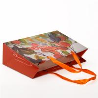 China Reusable Paper Carrier Bags Custom Logo Printed With Ribbon Handle for sale