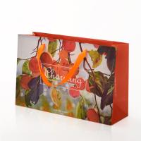 China Reusable Paper Carrier Bags Custom Logo Printed With Ribbon Handle for sale