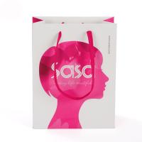 China Paper Gift Bags With Handles , Retail Carrier Bags Customized Brand Name for sale