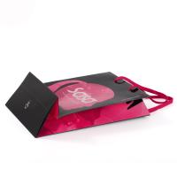 China Eco Friendly Branded Paper Bags ,  Custom Printed Gift Bags With Logo for sale