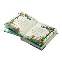 China Full Color Hardcover Children's Book Printing Customized Service A4 A5 Size for sale