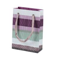 China Custom China Printed Branded Paper Shopping Bags With Company Logo for sale