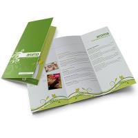 China Custom Printed Catalogue Booklet Brochure Folded Leaflet Printing for sale