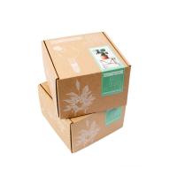 China Custom Printed Paper Corrugated Cardboard Grown Live Plant Shipping Box For Plant Packaging for sale