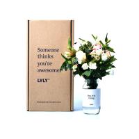 China Custom Printed Paper Cardboard Long Live Plant Packing Shipping Box For Plants for sale