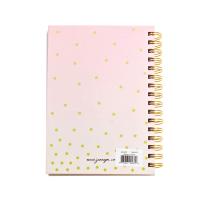 China Custom Printing Bible Christian Planner Journal Notebook for sale