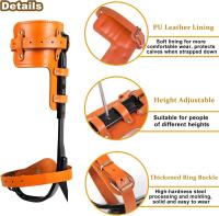 China Tree Climbing Gear Set Professional Tree Climbing Spikes for sale
