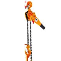 China 1 Ton Capacity 1.5M Chain Length Heavy-Duty Steel Construction Manual Lever Hoist Hand Chain Block for sale