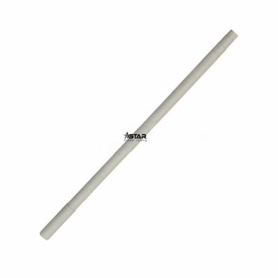 China C4 Powder Coating Spare Parts PTFE Powder Tubing 390911 for sale