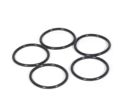 China 1095885 Polished Tribo Gen II Powder Coating Pump O Rings Custom OEM Support for sale