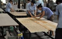 China Pink Cat'S Eye engineered wood veneer 0.18-0.55mm PCE-X619 Musical Instrument for sale