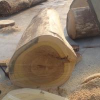China Recon Ash Wood Veneer Sheets Yellow Color Quarter Cut WA-H5061Q For Doors / Windws for sale