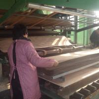 China Simulation Natural American White OAK X024N Wood Veneer Sheet For Door And Windows ISO for sale